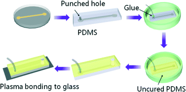 A microfluidic tubing method and its application for controlled ...