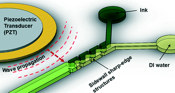 Investigation of acoustic streaming patterns around oscillating sharp ...