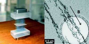 Magnetic microreactors for efficient and reliable magnetic nanoparticle ...