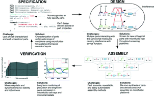 Integration of microfluidics into the synthetic biology design flow ...