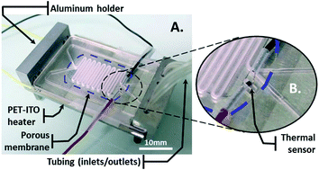 Continuous microcarrier-based cell culture in a benchtop microfluidic ...