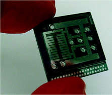 An EWOD-based microfluidic chip for single-cell isolation, mRNA ...