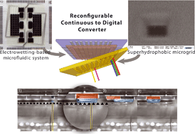 Split and flow: reconfigurable capillary connection for digital ...