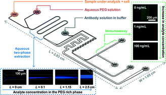 On-chip sample preparation and analyte quantification using a ...
