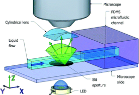 Flow-scanning optical tomography - Lab on a Chip (RSC Publishing)