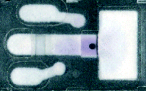 A new paper-based platform technology for point-of-care diagnostics ...