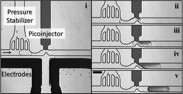 Pressure stabilizer for reproducible picoinjection in droplet ...