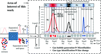 A bubble-based microfluidic gas sensor for gas chromatographs - Lab on ...