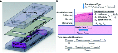 Pumpless microfluidic platform for drug testing on human skin ...