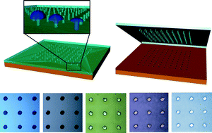 A flow-through holed PDMS membrane as a reusable microarray spotter for ...