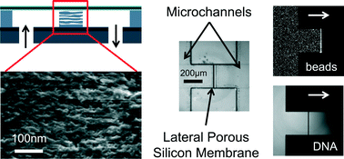 Integration of lateral porous silicon membranes into planar ...