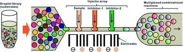 Low-volume multiplexed proteolytic activity assay and inhibitor ...