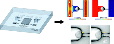 A microfluidic pipette array for mechanophenotyping of cancer cells and ...