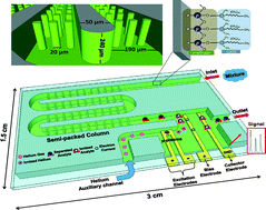 GC-on-chip: integrated column and photoionization detector - Lab on a ...