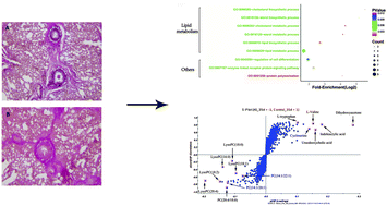 Integrative analysis of transcriptomic and metabolomic profiling of ...