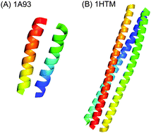 Computational characterization of parallel dimeric and trimeric coiled ...