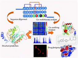 Molecular dynamics simulations and statistical coupling analysis of ...