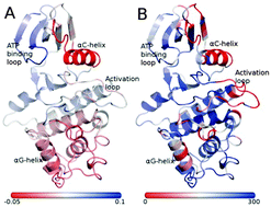 A Gaussian network model study suggests that structural fluctuations ...