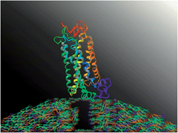 Structure of the cannabinoid receptor 1: homology modeling of its ...