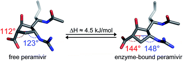 Conformational analysis of peramivir reveals critical differences ...