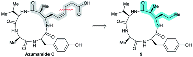 An azumamide C analogue without the zinc-binding functionality ...