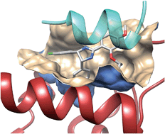 Rational design of protein–protein interaction inhibitors - MedChemComm ...