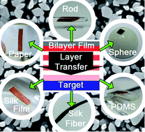 Silk/molecular conductor bilayer thin-films: properties and sensing ...