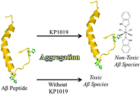 Modulation of the Aβ peptide aggregation pathway by KP1019 limits Aβ ...