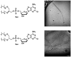 Diastereoselective self-assembly of clofarabine lipids - New Journal of ...