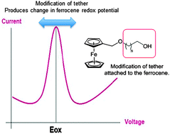 Fine-tuning of ferrocene redox potentials towards multiplex DNA ...