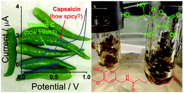 Extraction and electrochemical detection of capsaicin and ascorbic acid ...