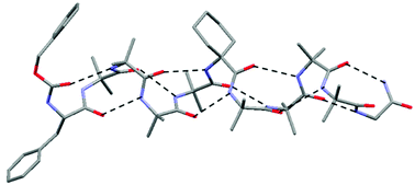 Participation of non-aminoisobutyric acid (Aib) residues in the 310 ...