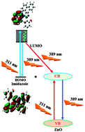 Thermodynamically feasible photoelectron transfer from bioactive π ...