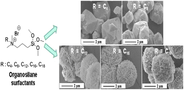 The influence of the nature of organosilane surfactants and their ...