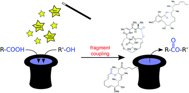 Ester coupling reactions – an enduring challenge in the chemical ...