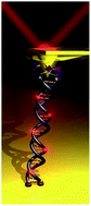 RNA intrusions change DNA elastic properties and structure - Nanoscale ...