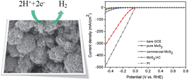 Amorphous carbon supported MoS2 nanosheets as effective catalysts for ...