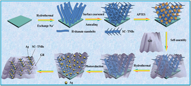Self-assembly of a Ag nanoparticle-modified and graphene-wrapped TiO2 ...