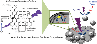 Antioxidant chemistry of graphene-based materials and its role in ...