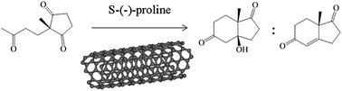 The effects of interactions between proline and carbon nanostructures ...