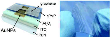 Graphene nano-floating gate transistor memory on plastic - Nanoscale ...