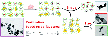 On-demand shape and size purification of nanoparticle based on surface ...