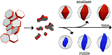 Rationale for the crystallization of titania polymorphs in solution ...