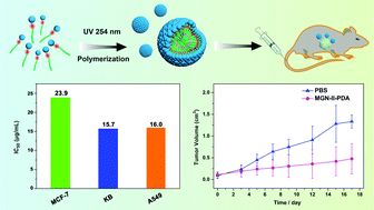 Magainin II modified polydiacetylene micelles for cancer therapy ...