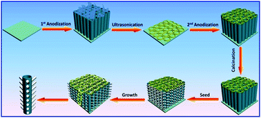 Spatially branched hierarchical ZnO nanorod-TiO2 nanotube array ...