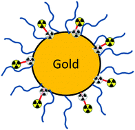Dual-radiolabeled nanoparticle SPECT probes for bioimaging - Nanoscale ...