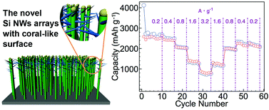 Directly grown Si nanowire arrays on Cu foam with a coral-like surface for lithium-ion batteries ...