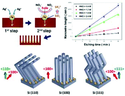 Unveiling the shape-diversified silicon nanowires made by HF/HNO3 ...