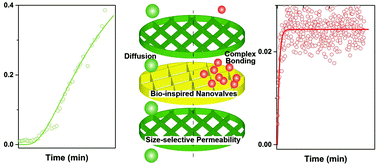 Selective Permeability