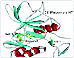 Structure-based de novo design and identification of D816V mutant ...